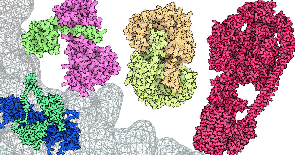 Facilitating access and reuse of computer-predicted protein structures ...